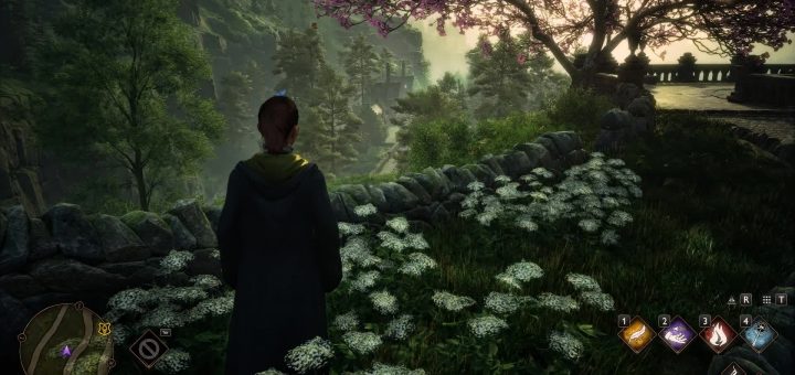 Hogwarts Legacy Visuals Mods | Best Visuals Mod