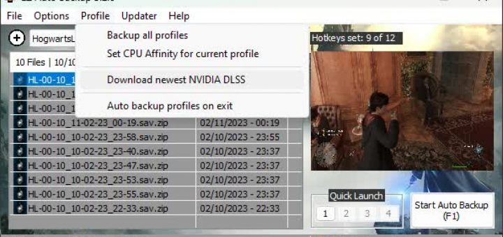 PakChunk Checker | Hogwarts Legacy Mod